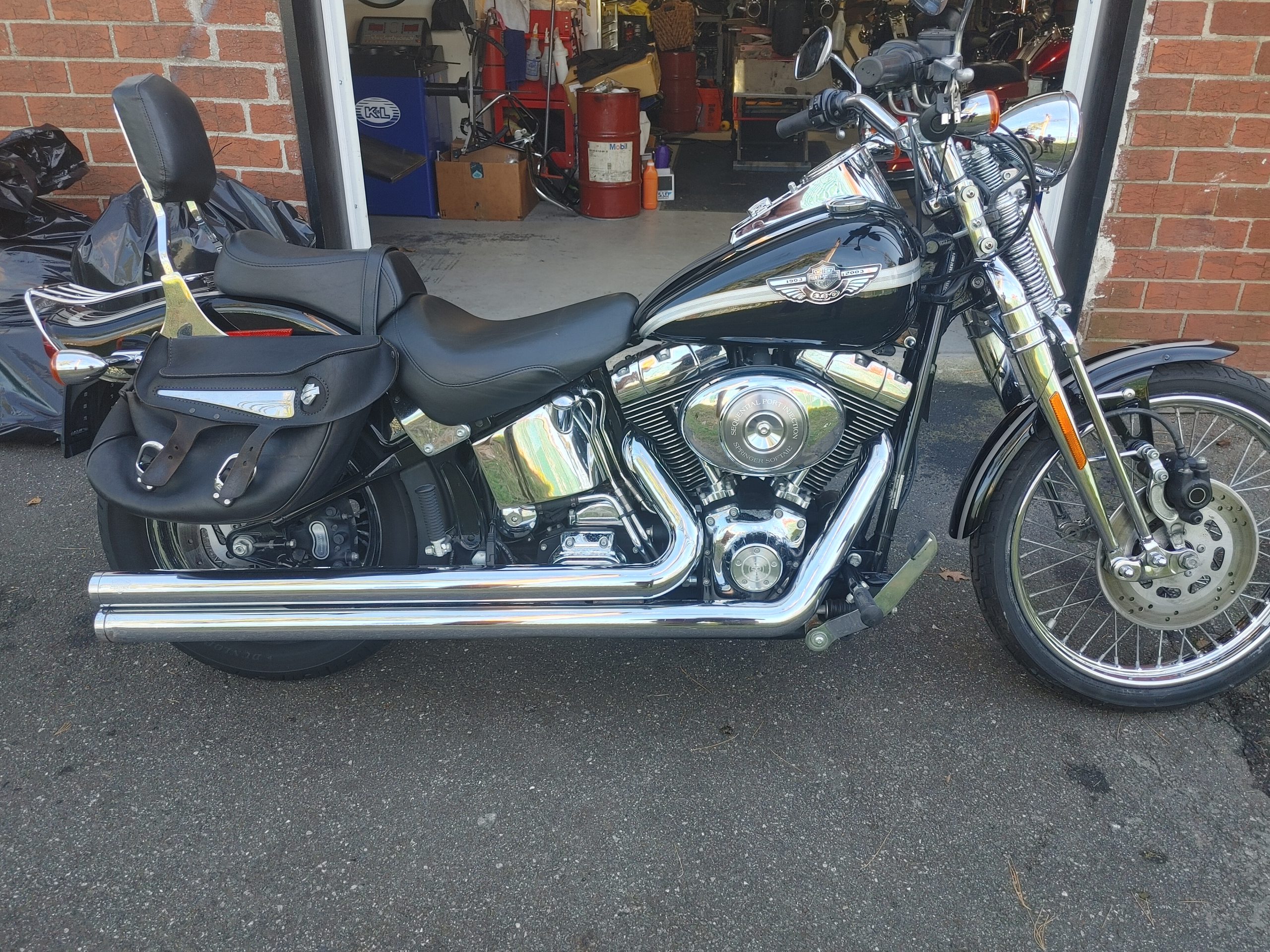 2003 Harley Davidson Softail Springer FXSTI Pristine Anniversary 16K ...